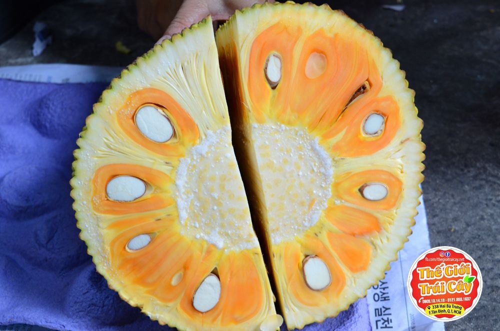 Mít ruột đỏ Mã Lai – Thế Giới Trái Cây