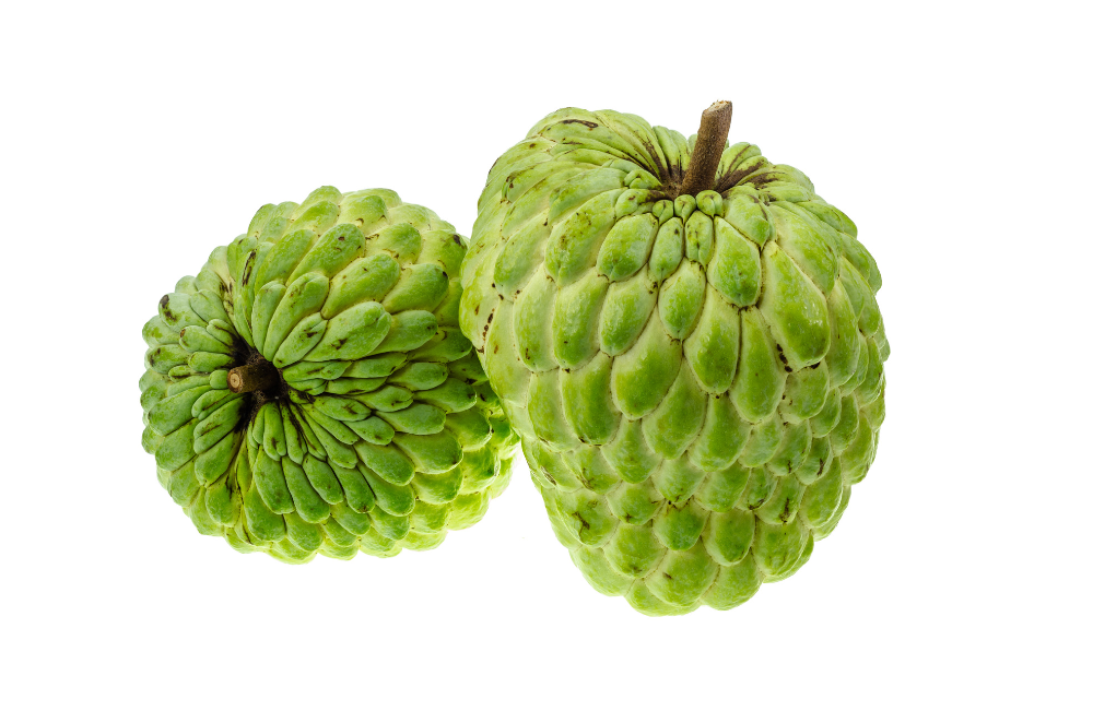 Na Thái – Thế Giới Trái Cây