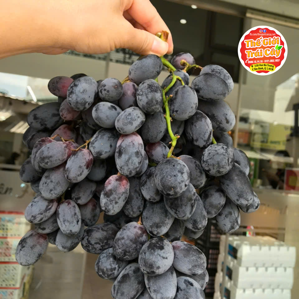 Nho đen nội địa Trung – Thế Giới Trái Cây