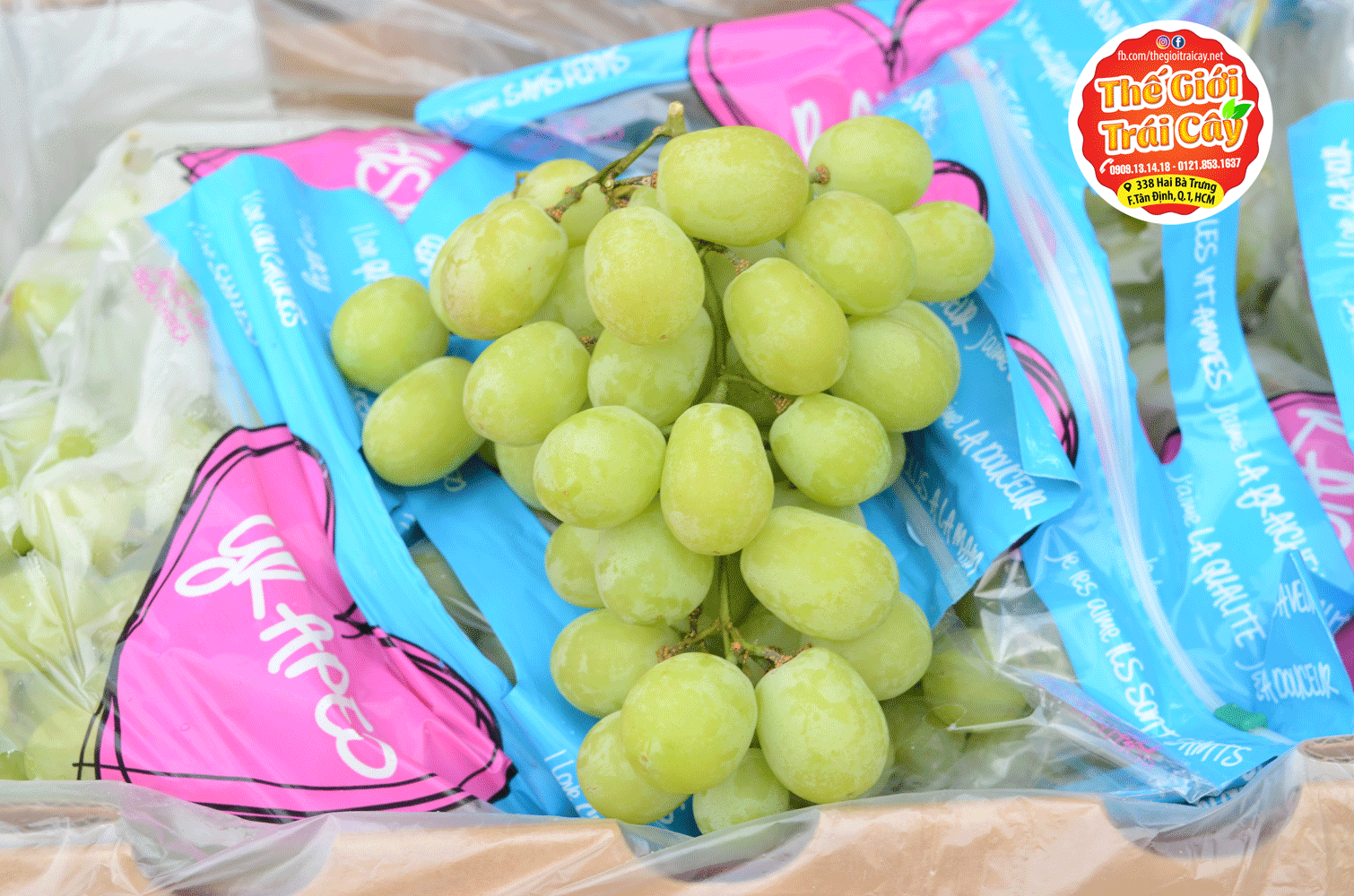 Nho xanh Nam phi SweetGlobe Raisins (hàng máy bay) – Thế Giới Trái Cây