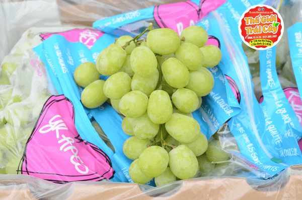 Nho xanh Nam phi SweetGlobe Raisins (hàng máy bay) – Thế Giới Trái Cây