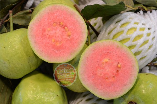 Ổi Ruby ruột đỏ – Thế Giới Trái Cây