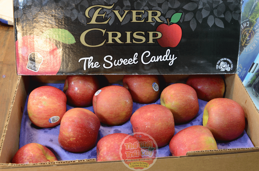 Táo EverCrisp Mỹ – Thế Giới Trái Cây