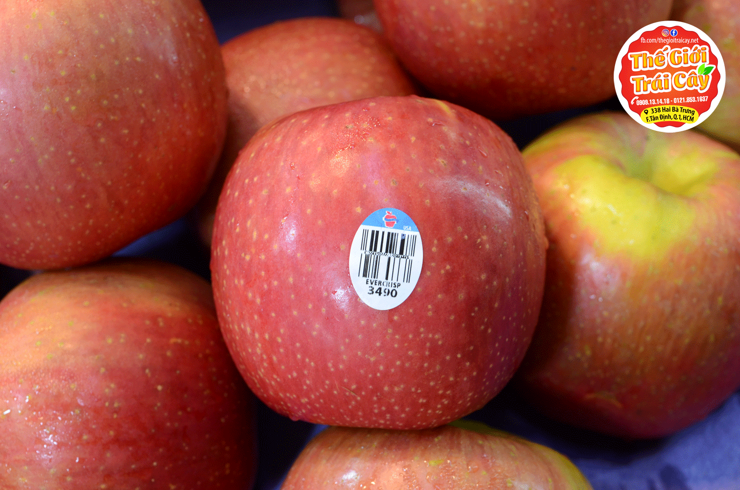 Táo EverCrisp Mỹ – Thế Giới Trái Cây
