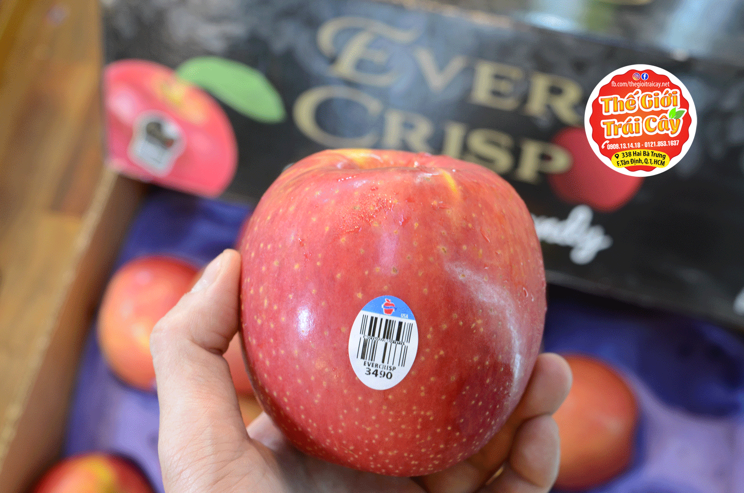 Táo EverCrisp Mỹ – Thế Giới Trái Cây