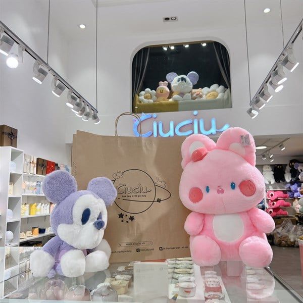 Túi giấy CiuCiu big size nâu – Ciuciu - Quà tặng & Đồ gia dụng