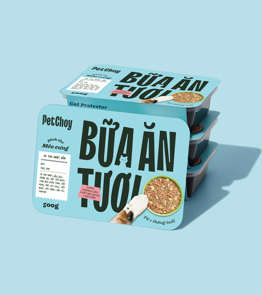 Cá Thu Nhật Bổn – Pet Choy