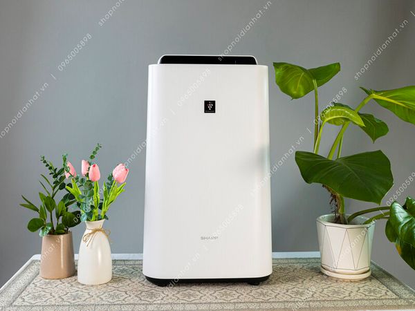 Máy lọc không khí Sharp KC-P50 Nhật nội địa – Shop nội địa Nhật