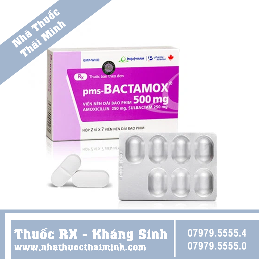 Bactamox 500mg trị nhiễm khuẩn (2 vỉ x 7 viên) – Nhà thuốc Thái Minh