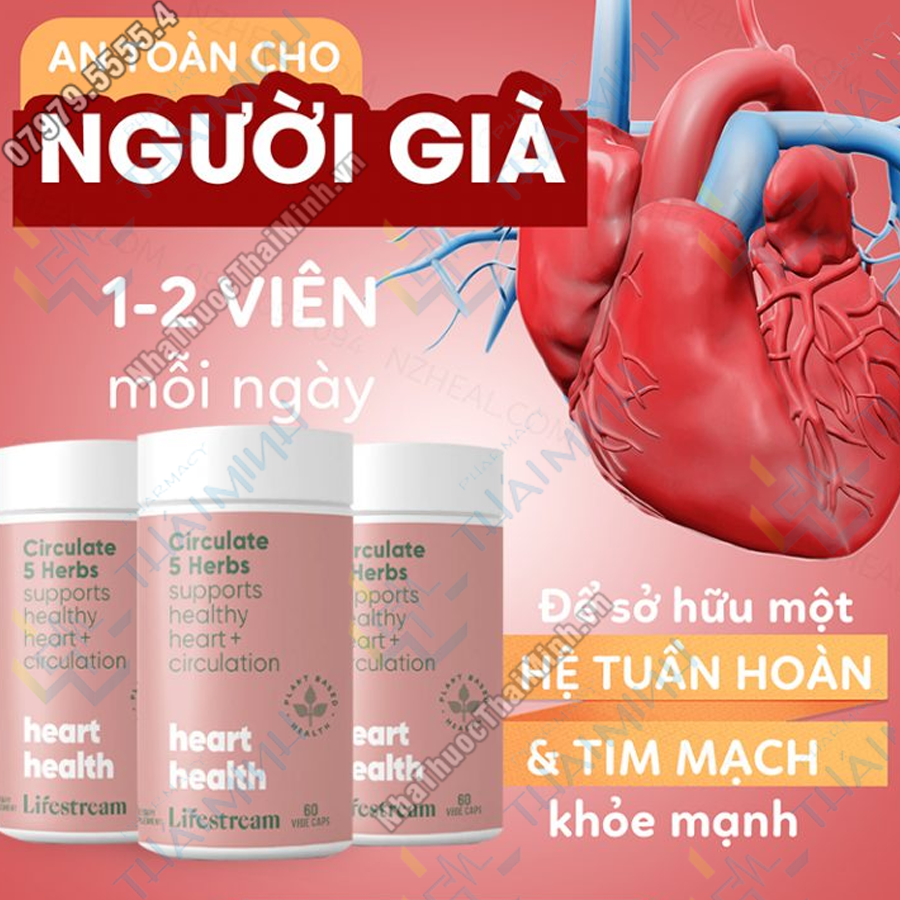 Viên Uống Tăng Cường Tuần Hoàn Máu Lifestream High Potency Circulate ...