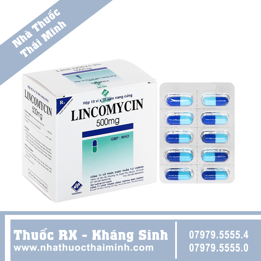 Thuốc Lincomycin 500mg - điều trị nhiễm khuẩn (20 vỉ x 10 viên) – Nhà ...