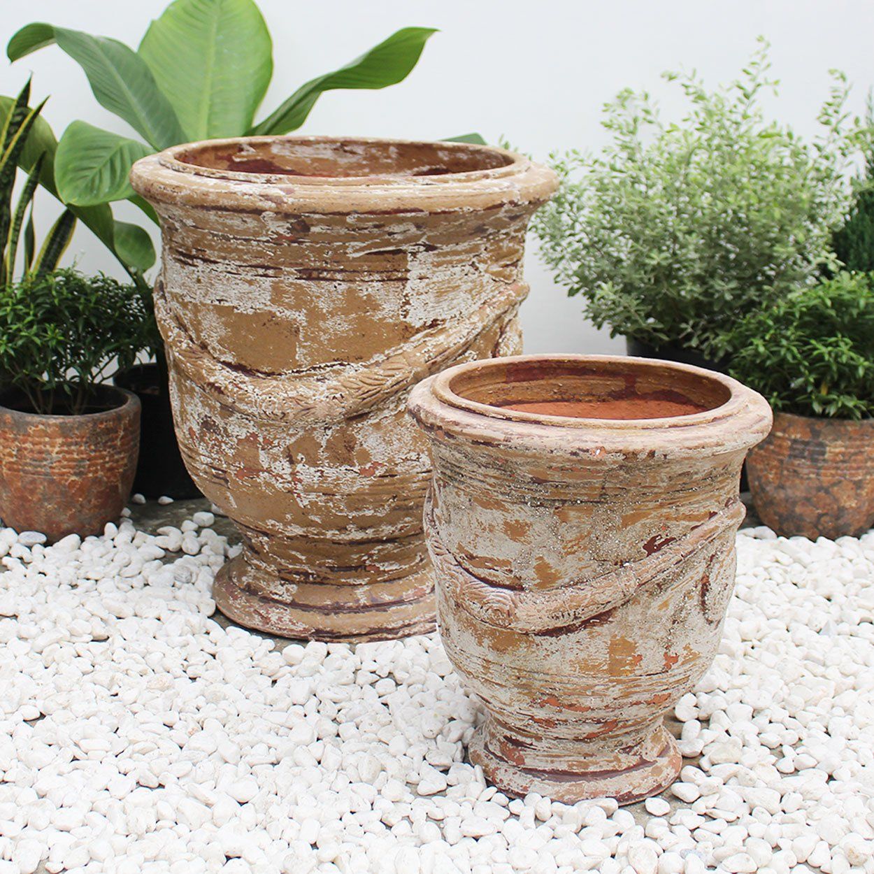 Antique Roman Vine Planter | AuroraPots