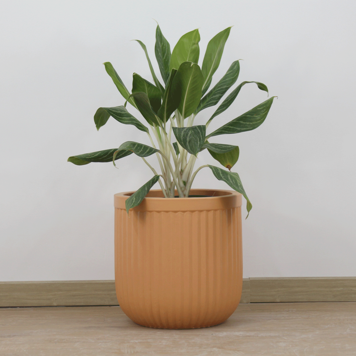 Vertical Stripes Fibercement Planter | AuroraPots – Aurora Pots
