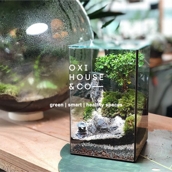 Zen Box – Oxi House