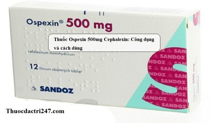 Ospexin 500 Cefalexin Áo – Vicpharma