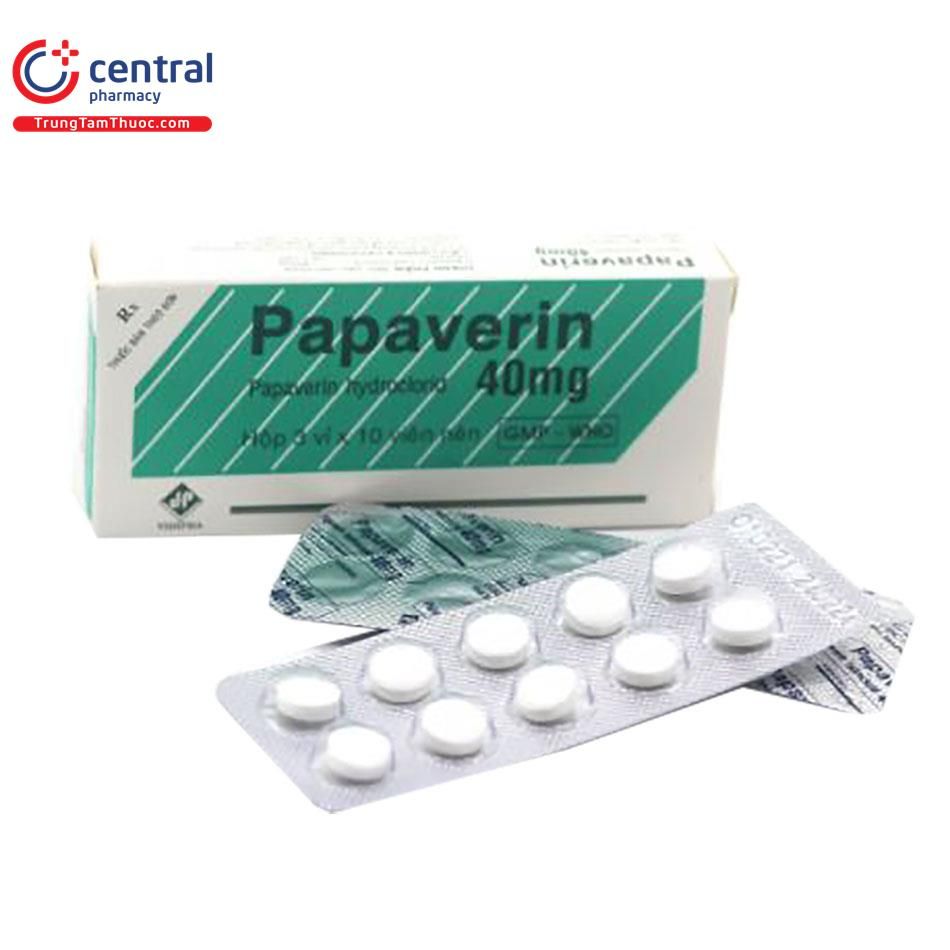 Papaverin 40mg Hộp 3 vỉ x 10 viên Vidipha – Vicpharma