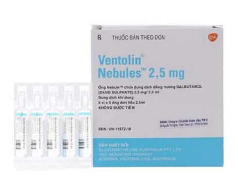 Ventolin 2,5mg Hộp 6 vỉ x 5 ống Australia – Vicpharma