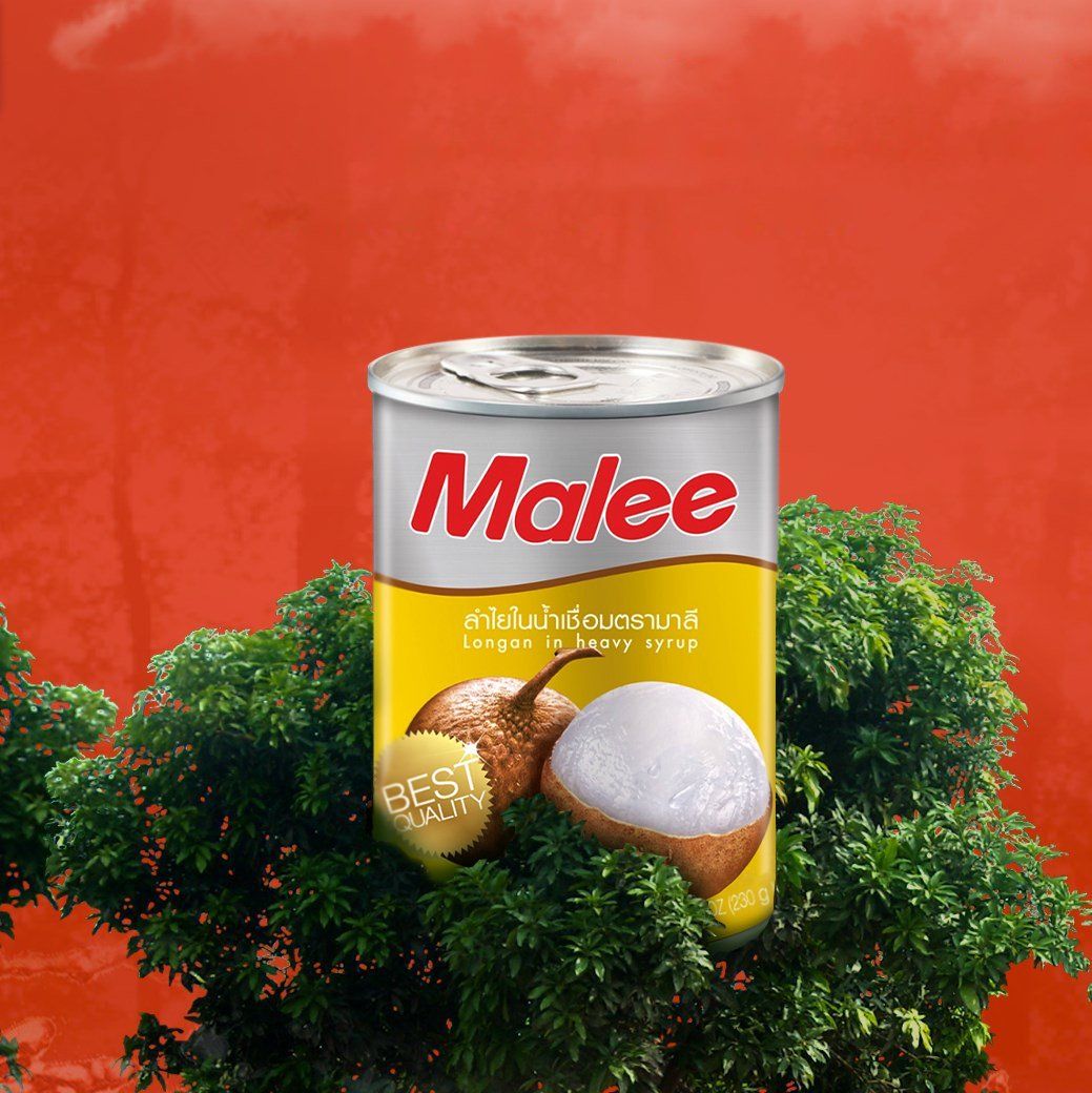 Trái Nhãn Ngâm Đường Malee 565g - Nhập Khẩu Thái Lan – Công ty TNHH TM ...