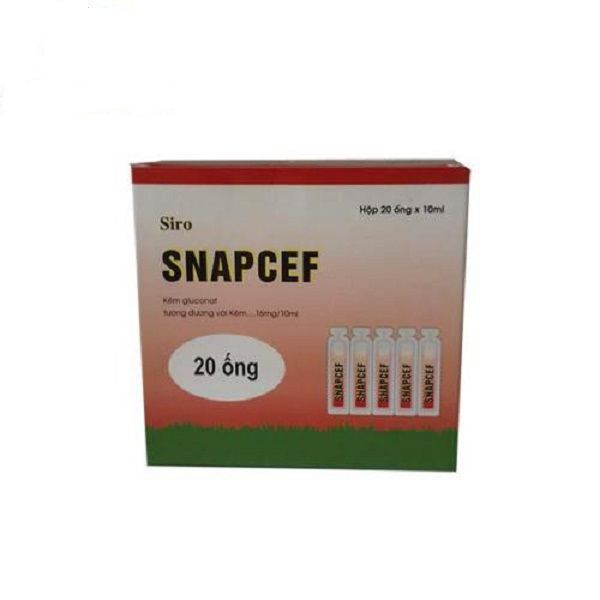 Thuốc Snapcef – Siro Uống – Nhà Thuốc Bệnh Viện