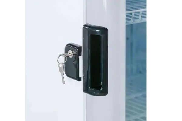 Tủ mát Alaska Inverter 300 Lít LCI-300 - Giá Kho – BestMua