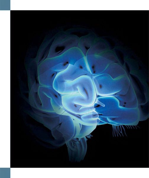 Brain: The Complete Mind: How It Develops, How It Works, and How to Ke ...