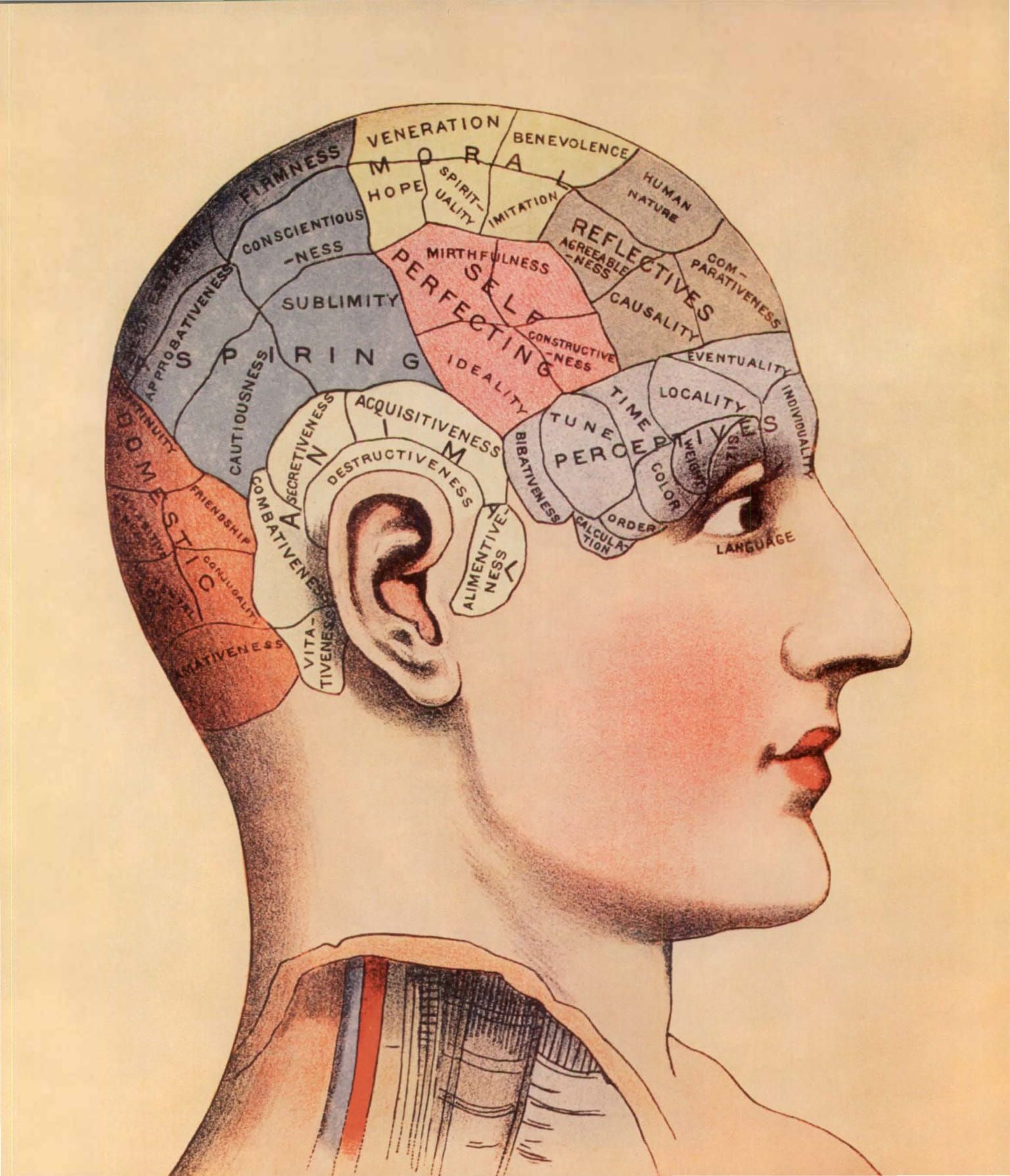 Brainworks: The Mind-bending Science of How You See, What You Think, a ...