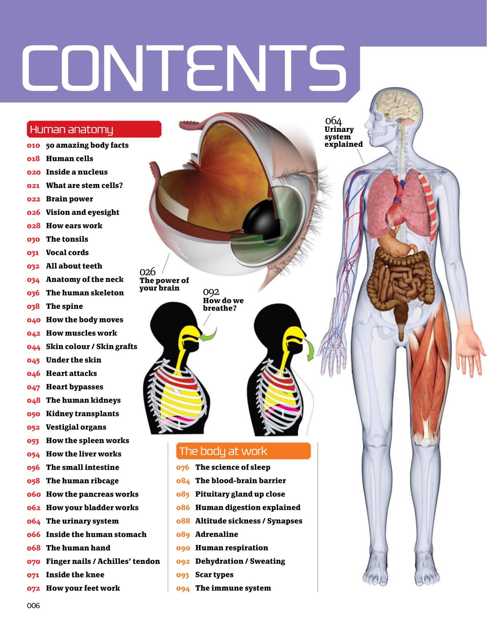 How it Works Book of The Human Body – E-books Max30