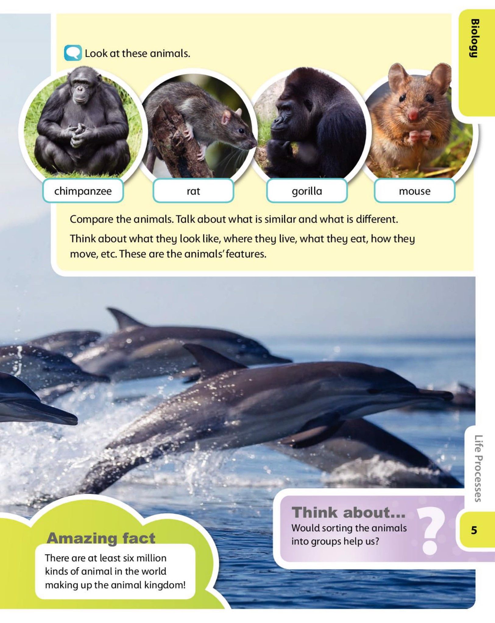 Oxford International Primary Science Stage 3: Age 7-8 Student Workbook ...