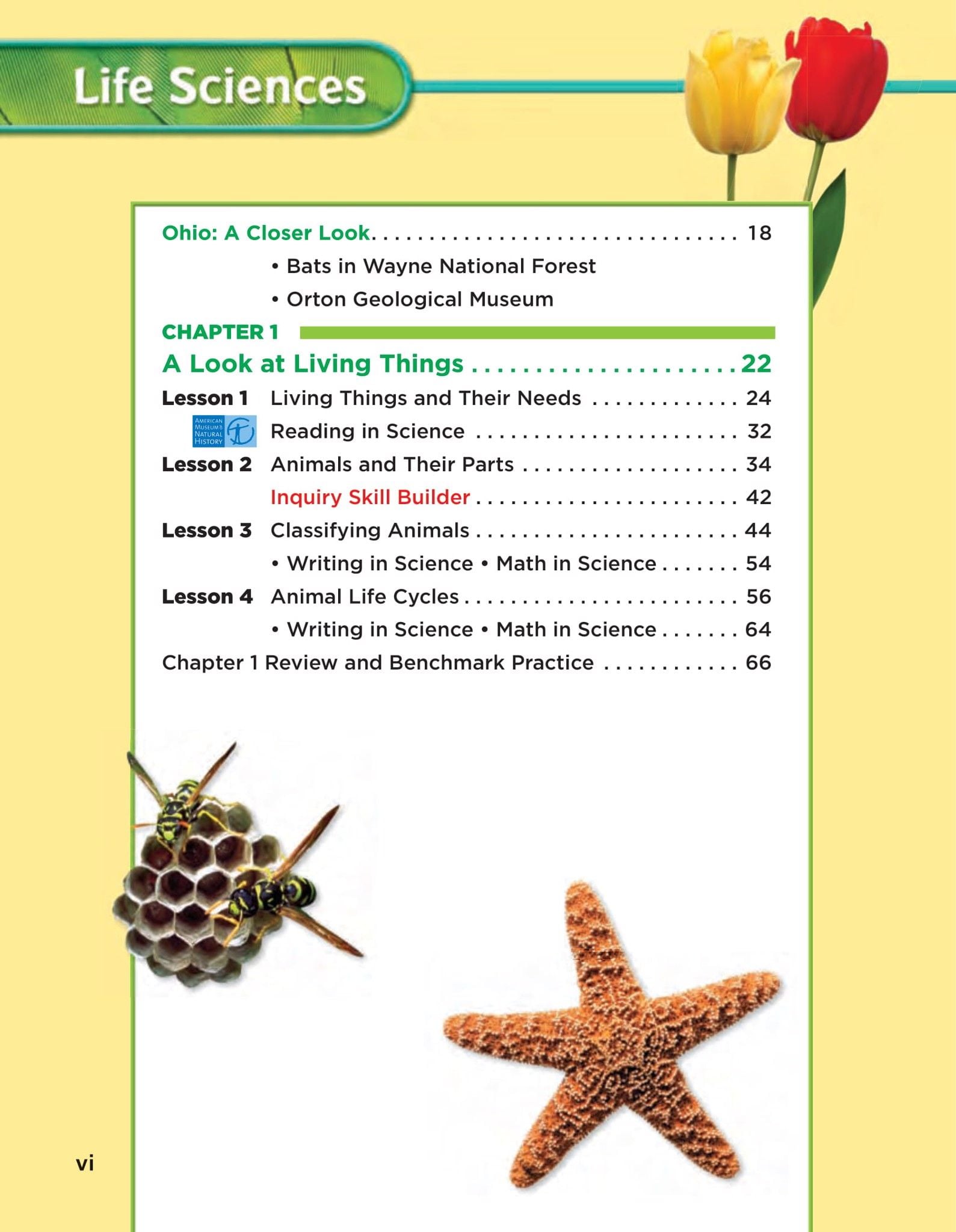 Science A Closer Look Grade 3 E books Max30 Science A Closer Look Grade 3 E books Max30