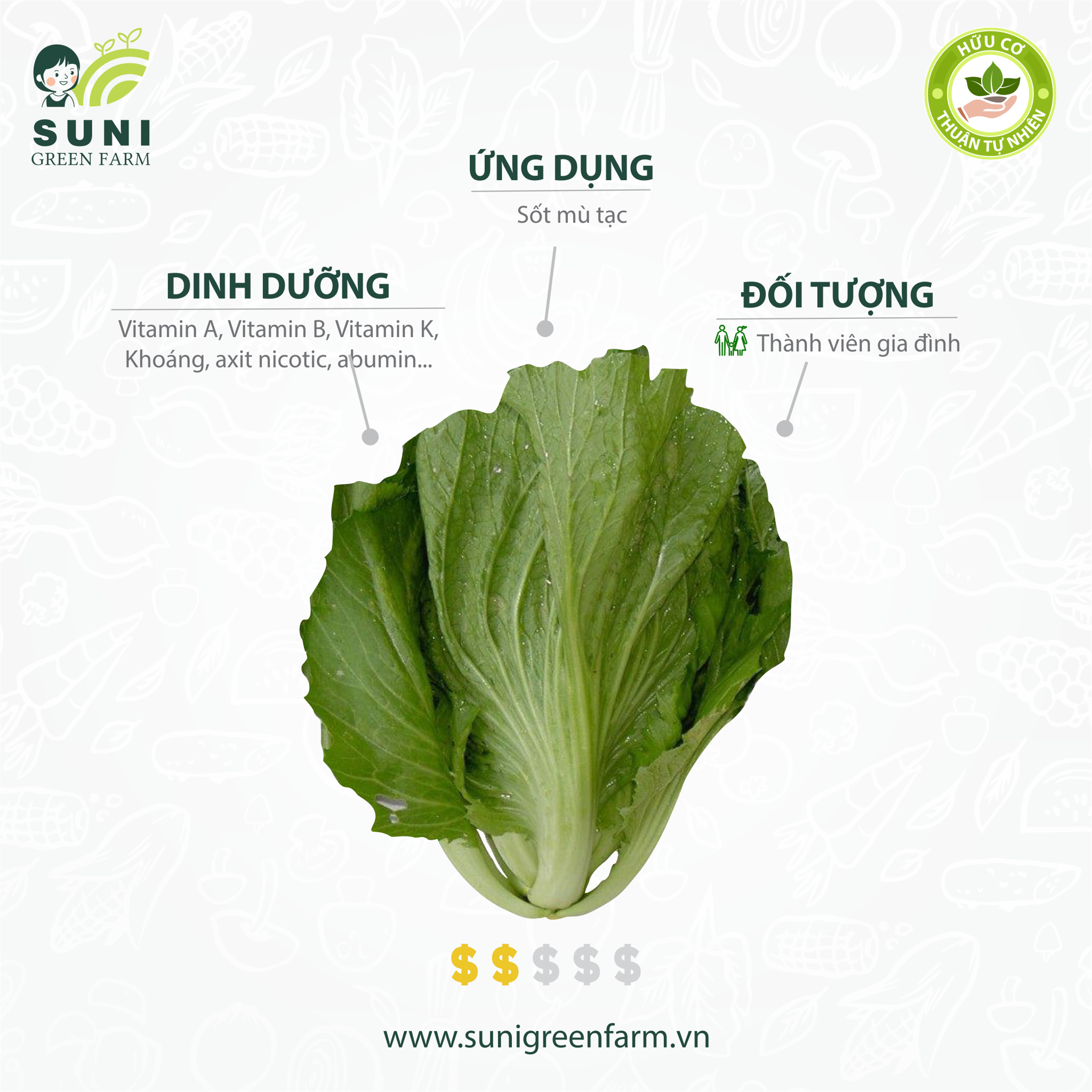 Cải mù tạt – SUNI GREEN FARM