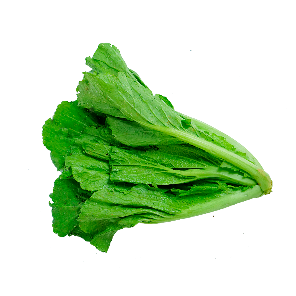 Cải mù tạt – SUNI GREEN FARM