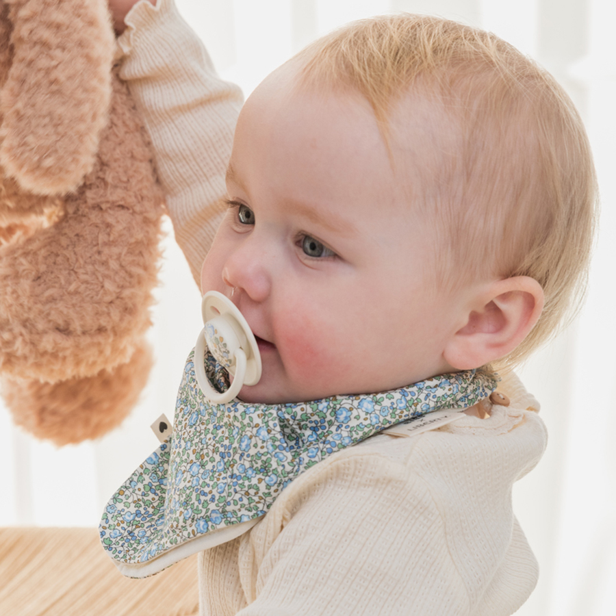 TI NGẬM BIBS DELUX S ( 2 CÁI/HỘP) – YODEE Việt Nam