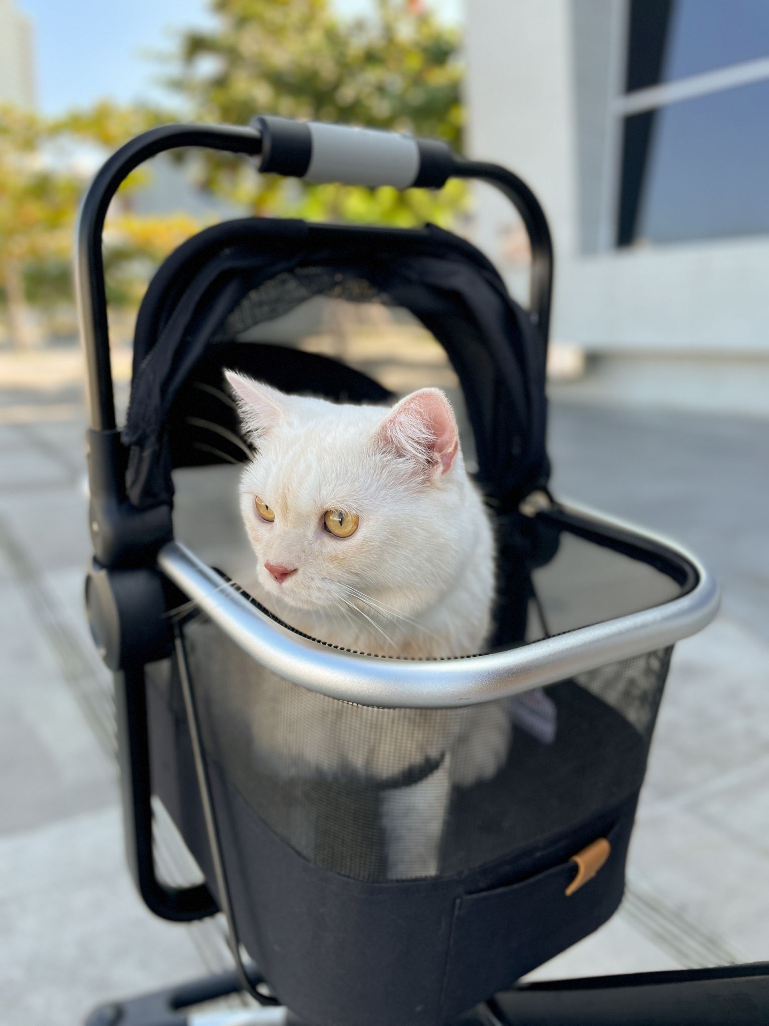 UNILOVE LỒNG ĐỰNG, VẬN CHUYỂN THÚ CƯNG TIỆN LỢI, AN TOÀN ON-THE-GO – YODEE Việt Nam