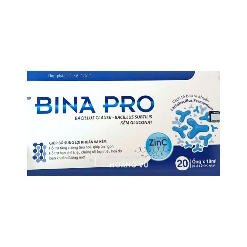 Men vi sinh Bina Pro hỗ trợ tăng cường vi sinh đường ruột – Dược Hoàng Vũ