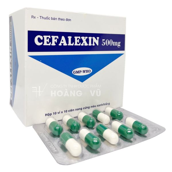 CEFALEXIN 500 – duochoangvuhcm