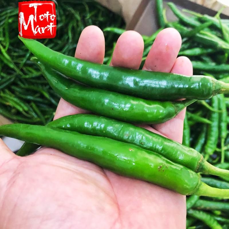 Ớt sừng xanh Hàn Quốc – Totomart