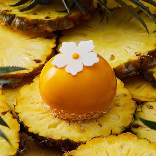 Tất cả sản phẩm – Artemis Pastry
