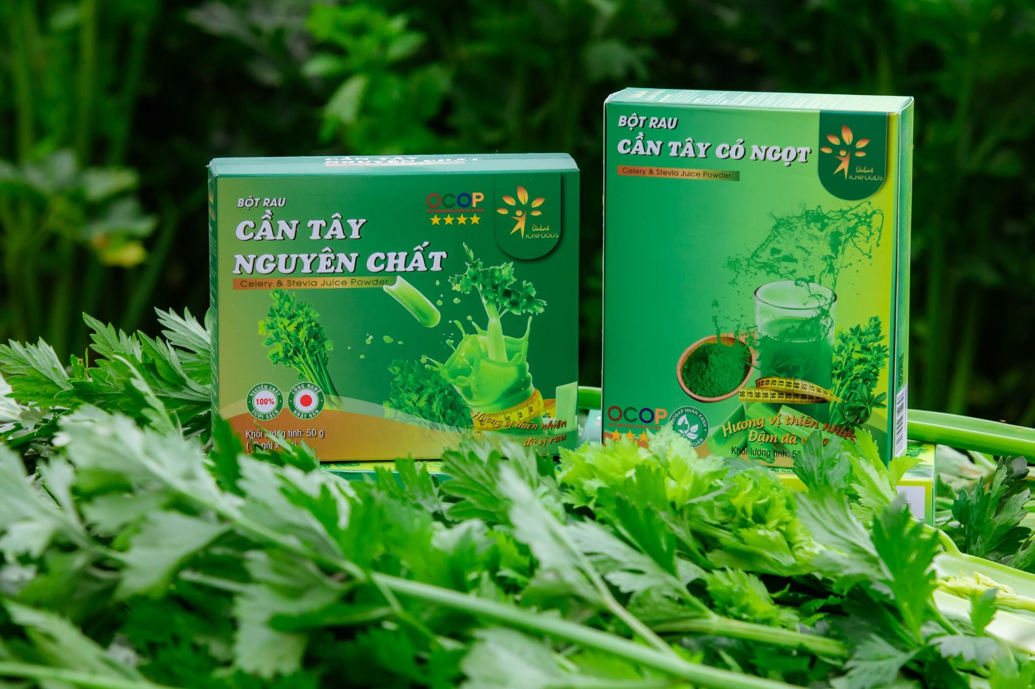 Combo 3 hộp Bột cần tây sấy lạnh nguyên chất và 3 hộp Bột cần tây giảm ...