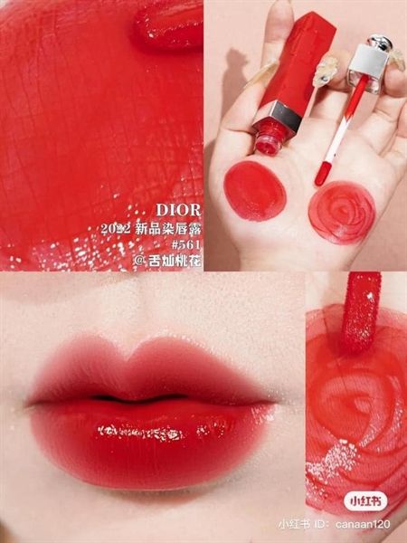 Fullbox Son Dior Addict Lip Tint Màu 561 Natural Poppy - Đỏ cam – Mỹ Phẩm Socutelipstick / Tiệm ...