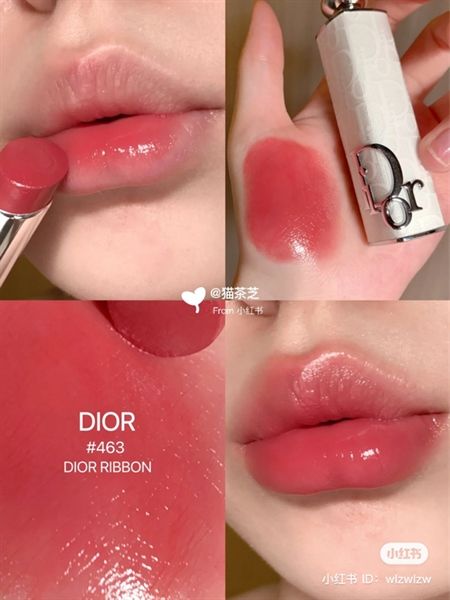 Dior 463 – Mỹ Phẩm Socutelipstick / Tiệm Socute