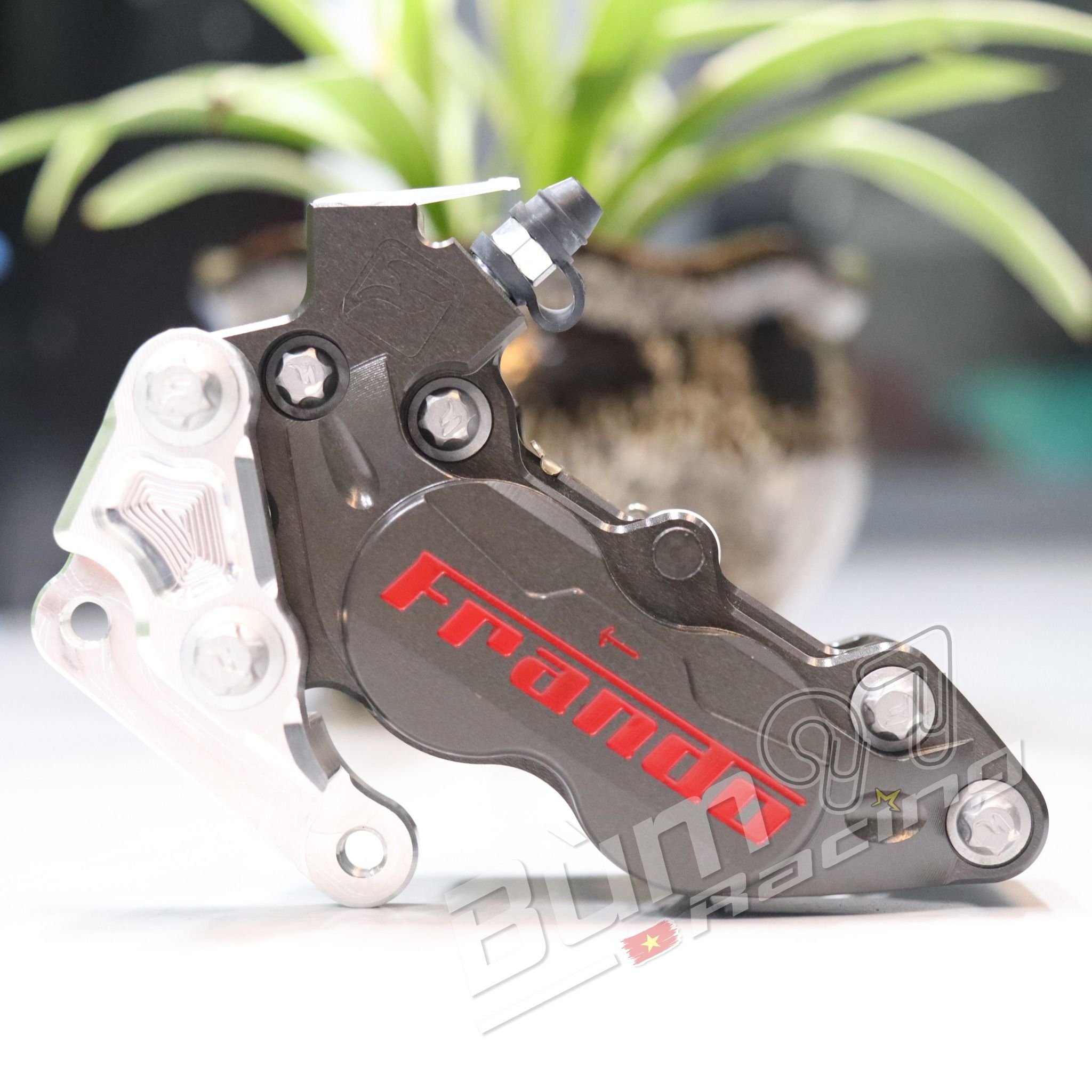 Heo Frando Racing 4 Pis Trái Chính Hãng - Color Brown – Bùm 97 Racing ...