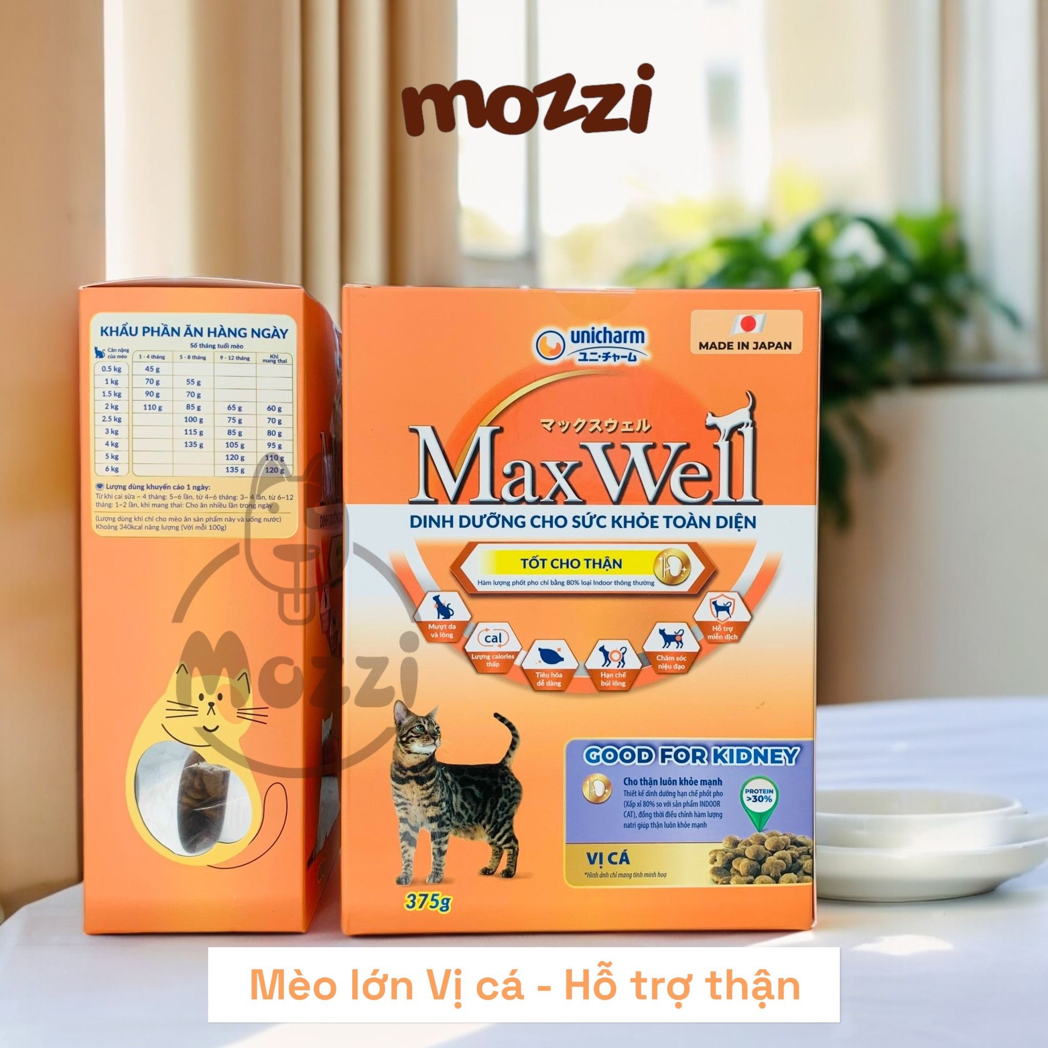 MaxWell Thức ăn cho mèo con – Mozzi Pet Shop