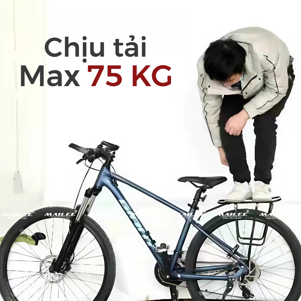 Baga sau xe đạp MTB địa hình BG-101V, baga ghế ngồi sau cho bánh xe ...