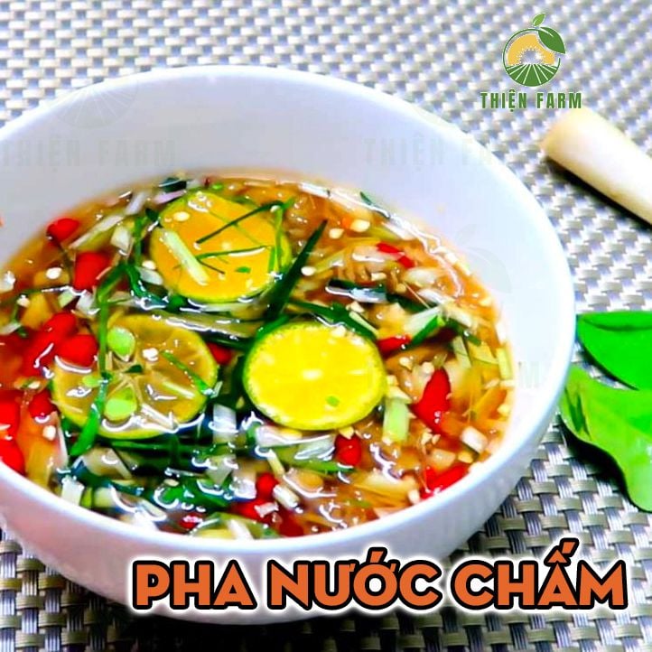 Cây CHANH CHÚC - CHANH THÁI – Thiện Farm