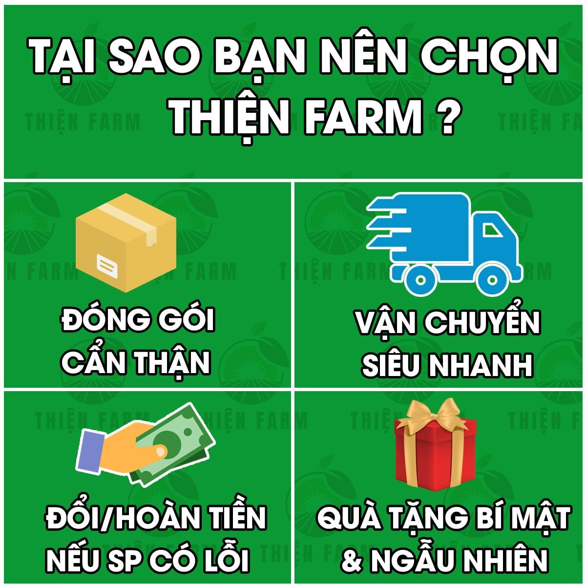 Cây CHANH CHÚC - CHANH THÁI – Thiện Farm