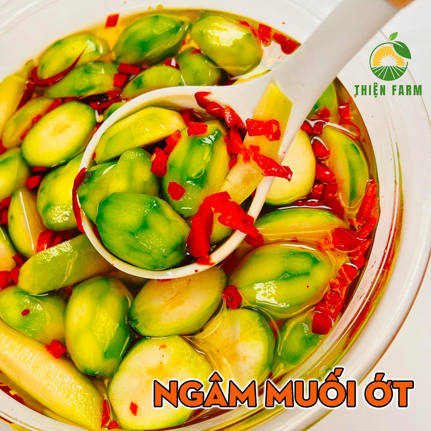 Cây CÓC THÁI – Thiện Farm