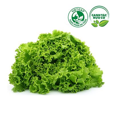 Xà lách Lolo xanh (150-170g/gói) | Bio Ngon