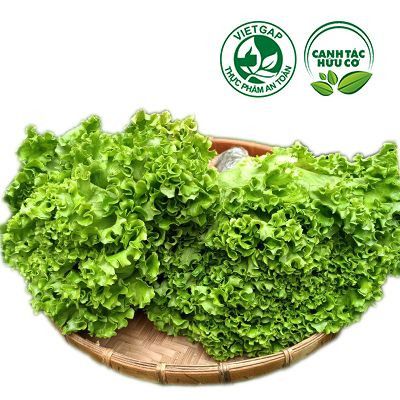 Xà lách Lolo xanh (300-350g/gói) – Bio Ngon