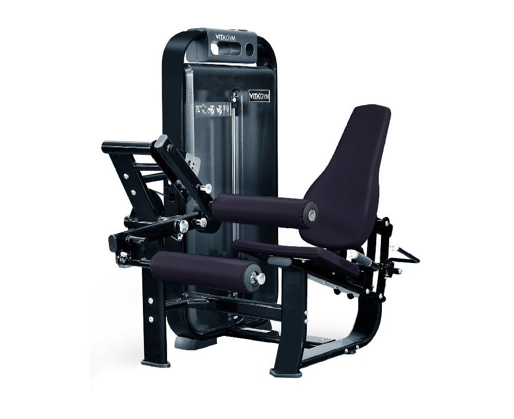 Seated Leg Curl