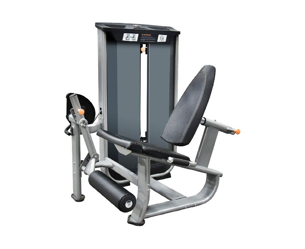Leg Extension - Gym Group ∣ Chuyên Gia Setup Phòng Tập